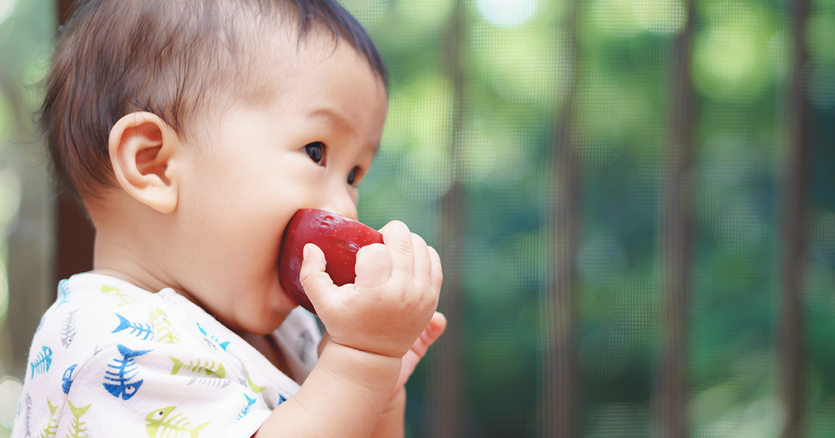 ENeA SEA นวัตกรรมการเรียนรู้แบบอิเล็กทรอนิกส์ (e-learning) ด้านโภชนาการ ...