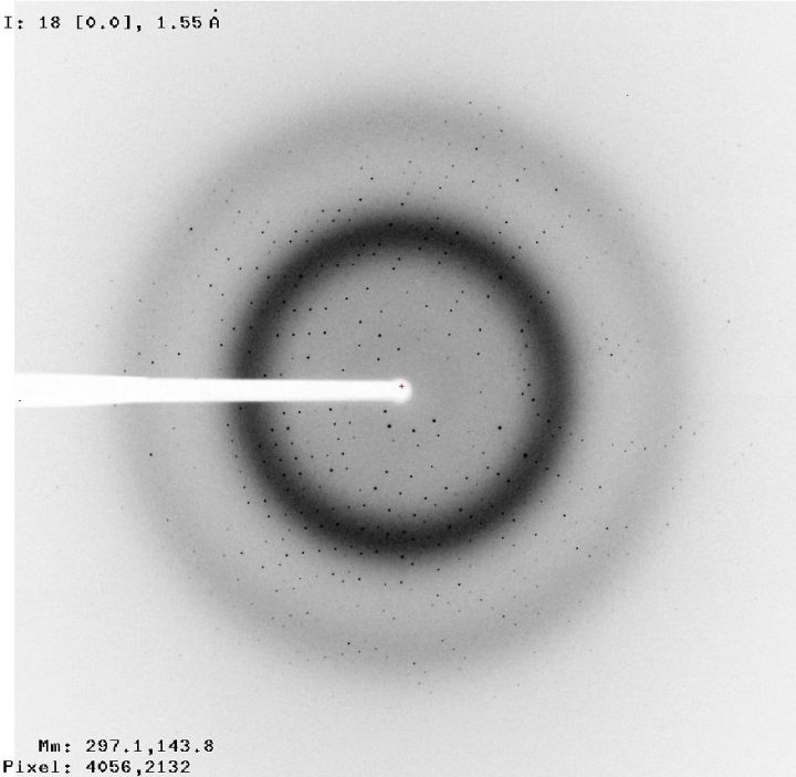 Proteolytic Enzymes for Covid-19 Studied in 3D for the First Time in ...