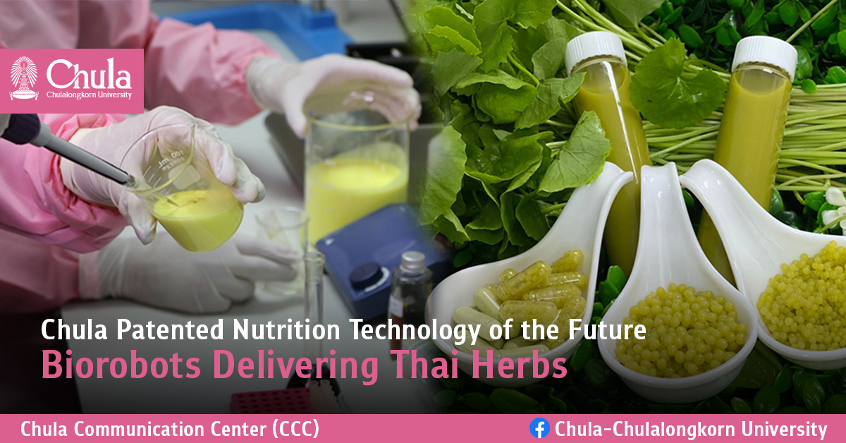 Chula Patented Nutrition Technology of the Future "Biorobots Delivering ...