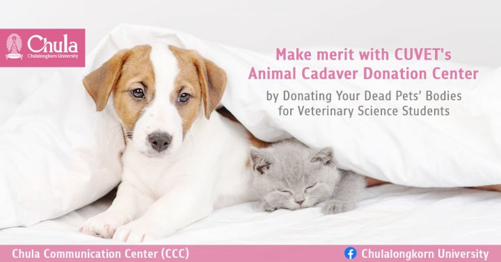 Make merit with CUVET's Animal Cadaver Donation Center by Donating Your ...