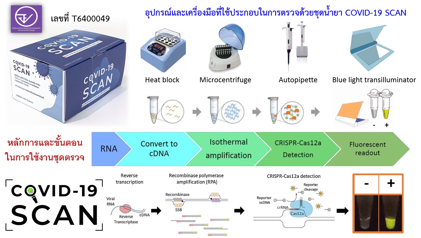 นวัตกรรมชุดตรวจคัดกรองโรคโควิด-19 "COVID-19 SCAN" ผลงานอาจารย์คณะ ...