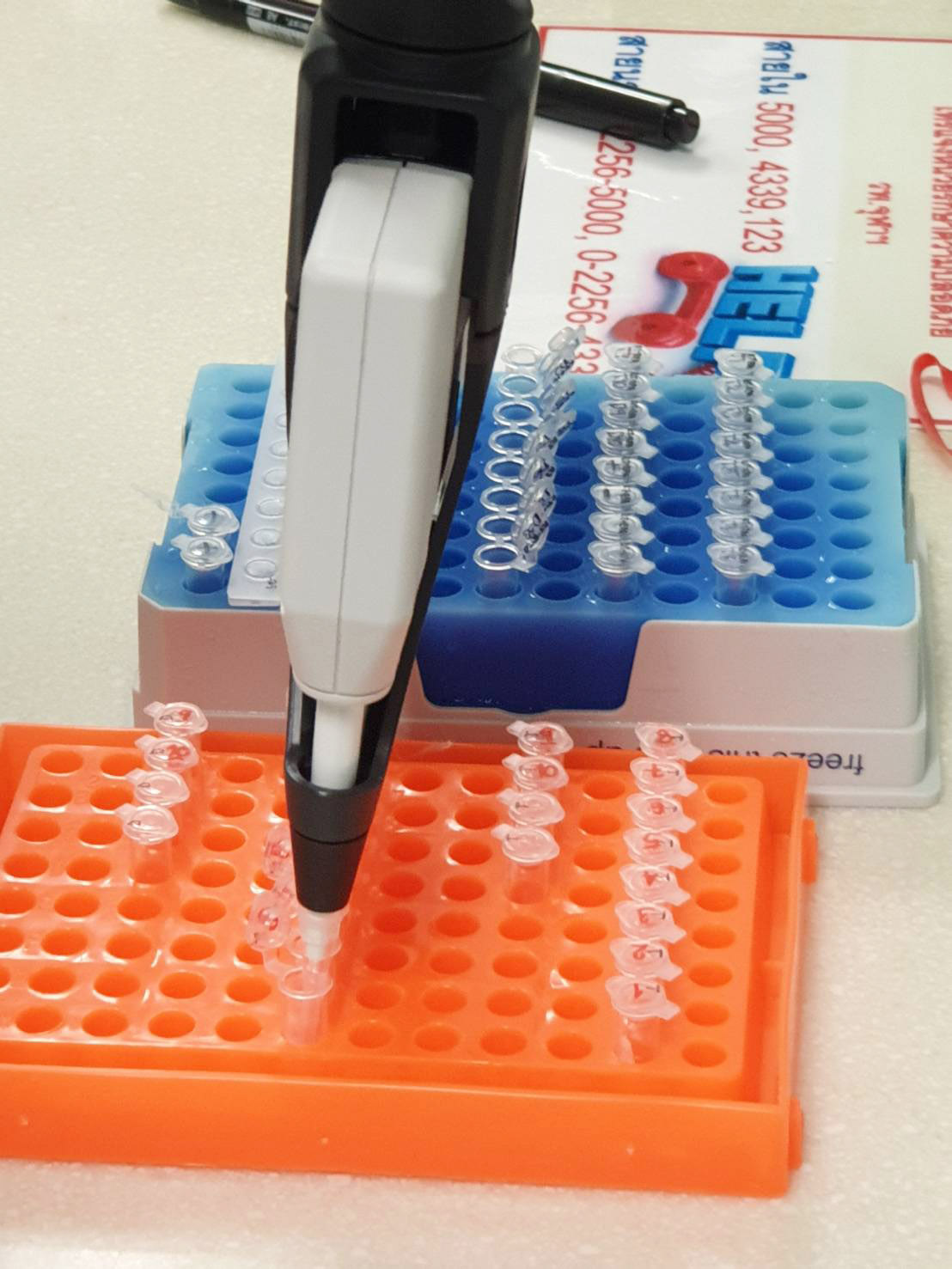 COVID-19 SCAN: An Innovative, Proactive, Fast, Accurate, and Affordable ...