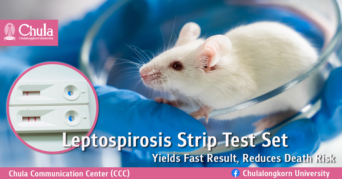 Leptospirosis Strip Test Set – Chulalongkorn University