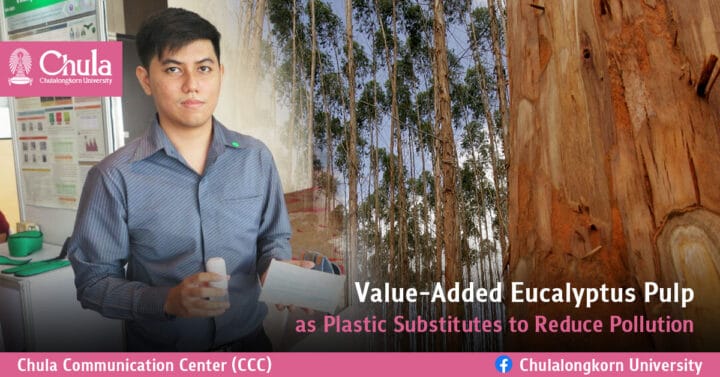 Value-Added Eucalyptus Pulp Plastic Substitutes – Chulalongkorn University