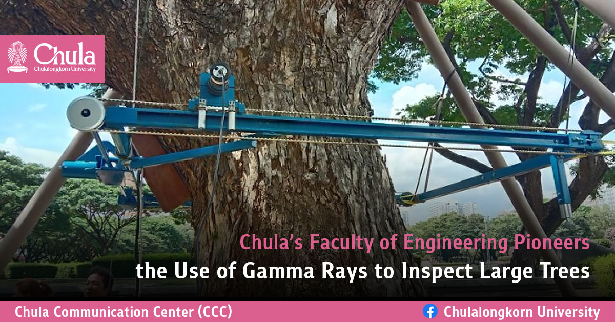 Chula Pioneers the Use of Gamma Rays to Inspect Large Trees ...