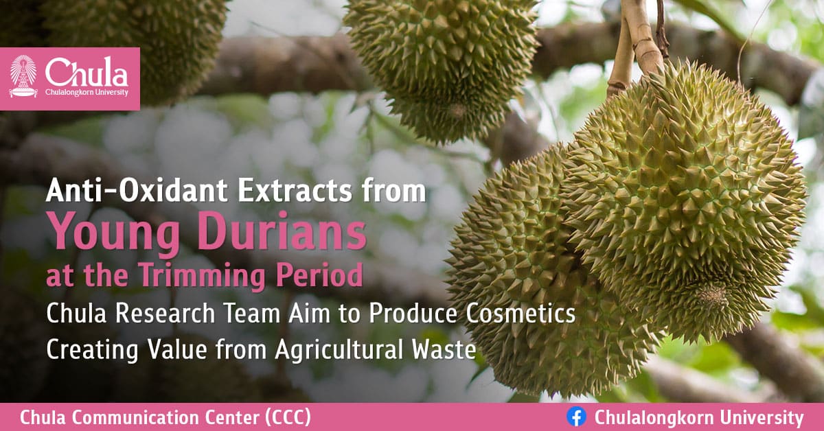 Anti-Oxidant Extracts from Young Durians – Chulalongkorn University