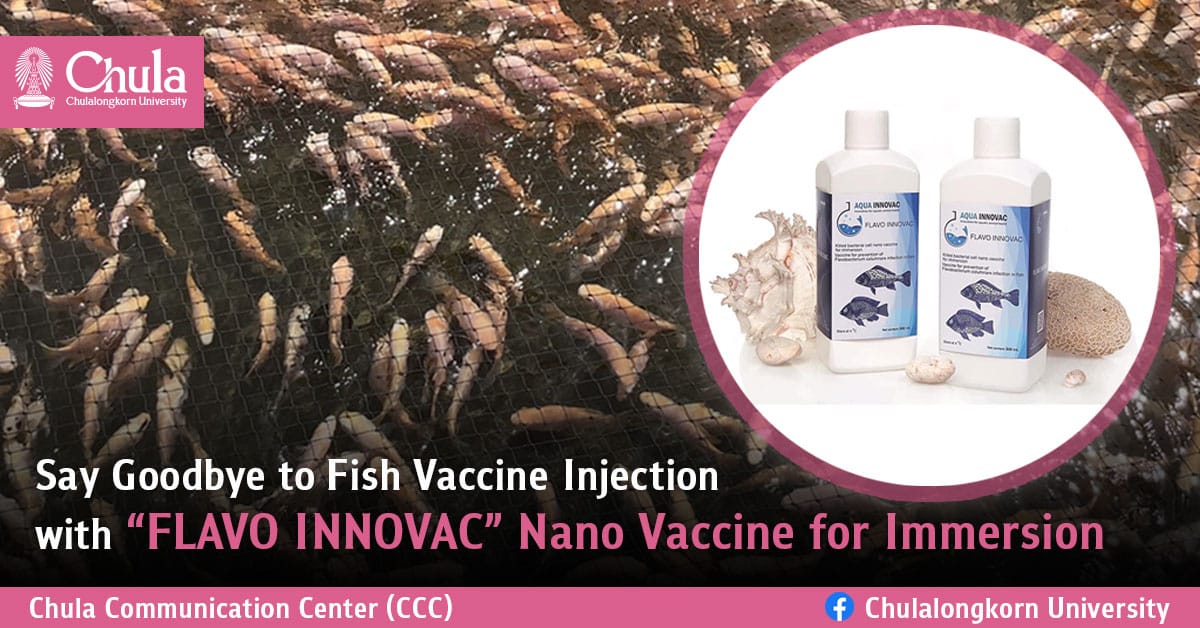 Say Goodbye to Fish Vaccine Injection with “FLAVO INNOVAC” Nano Vaccine ...