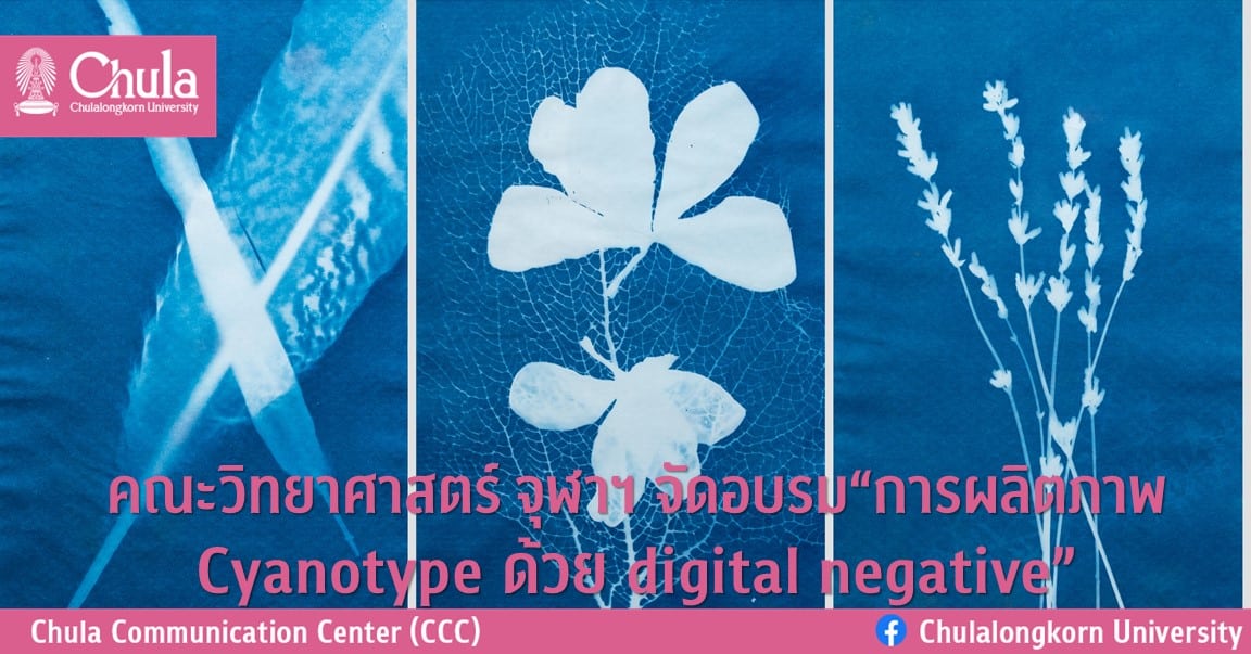 คณะวิทยาศาสตร์ จุฬาฯ จัดอบรม“การผลิตภาพ Cyanotype ด้วย digital negative ...