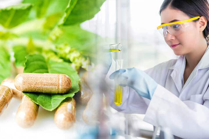 เภสัช จุฬาฯ เผยผลวิจัยชีวเภสัชภัณฑ์จากพืช ยับยั้งเซลล์มะเร็งในสัตว์ทดลอง หวังต่อยอดผลิตยารักษา ...