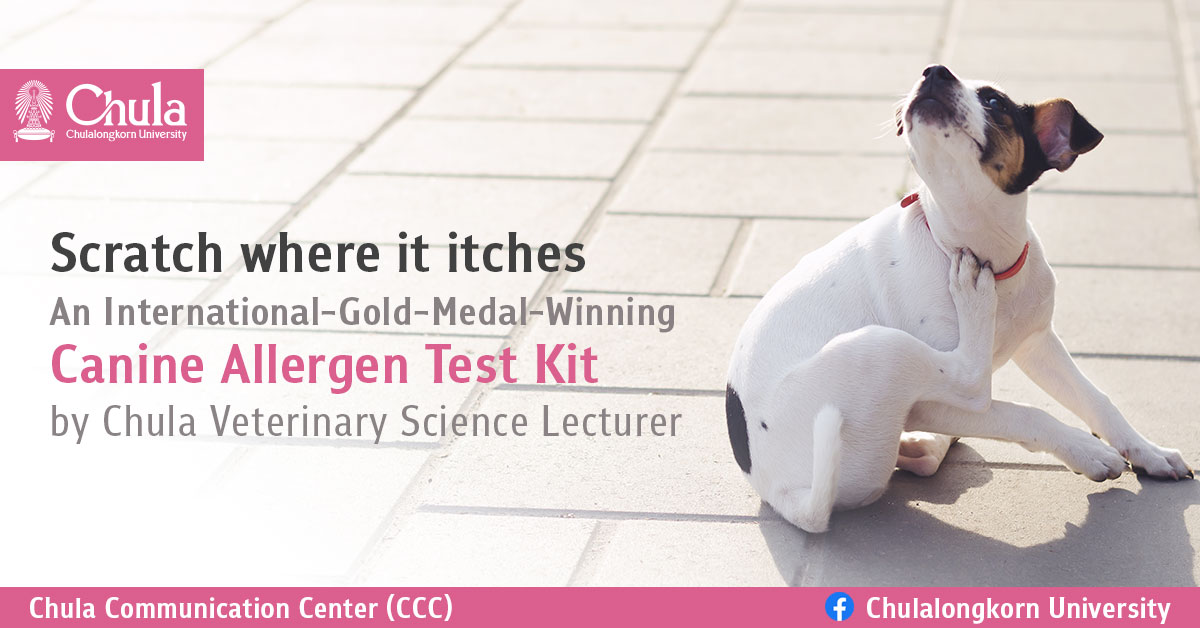 Canine Allergen Test Kit by Chula Veterinary Science Lecturer ...