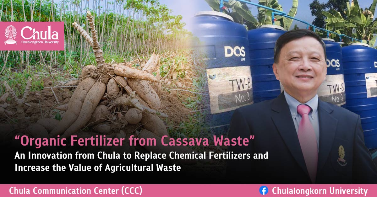 Chula's Cassava Waste Organic Fertilizer for Sustainable Agriculture ...