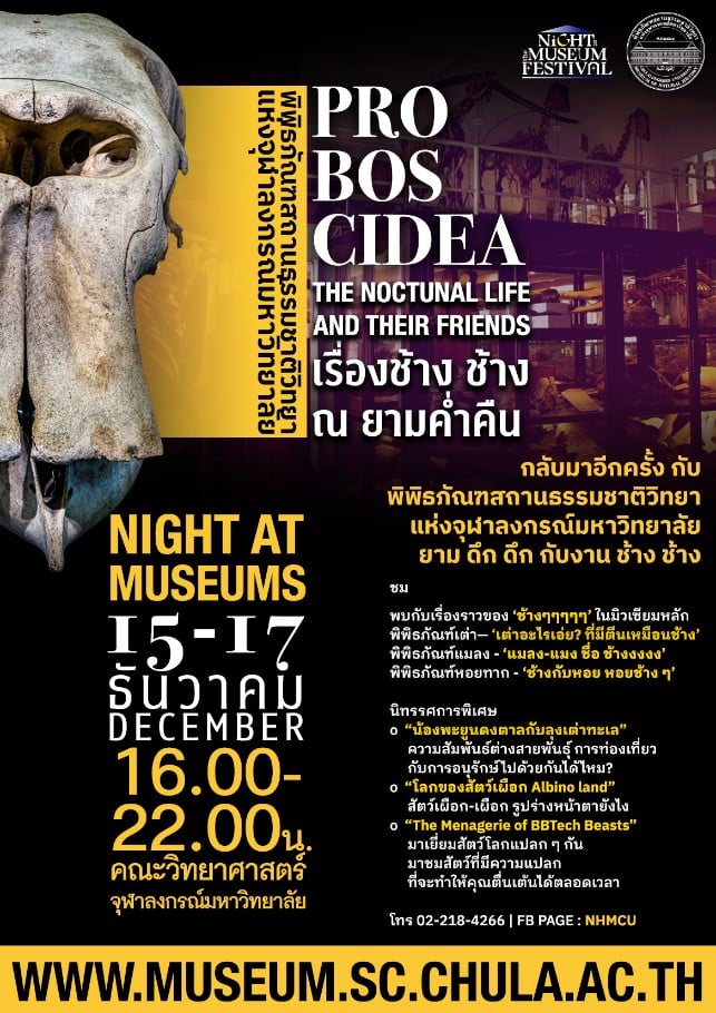 เชิญร่วมงานเทศกาลท่องเที่ยวพิพิธภัณฑ์ยามค่ำคืน Night at the Museum @ Chula มหัศจรรย์ความรู้ ...