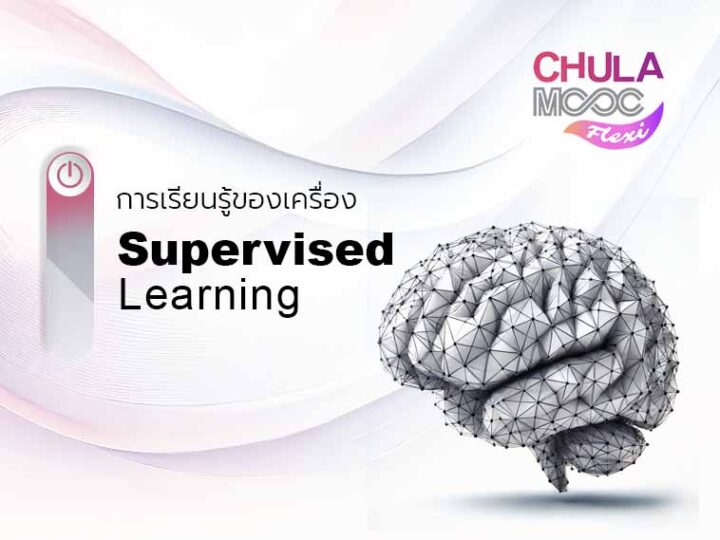 เรียนรู้ทักษะดิจิทัลผ่าน Chula MOOC Flexi กับ 28 วิชาน่าสนใจ ฟรี! – จุฬาลงกรณ์มหาวิทยาลัย