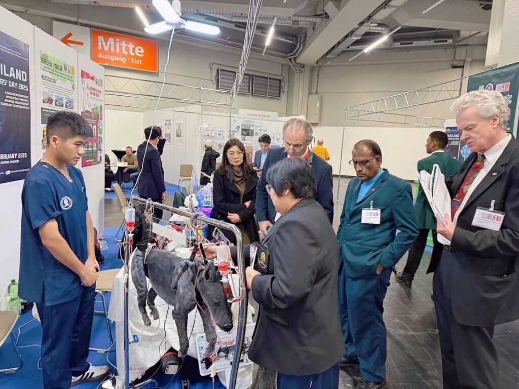 Chula’s Eco-Friendly Canine Blood Draw Training Model Wins Gold ...