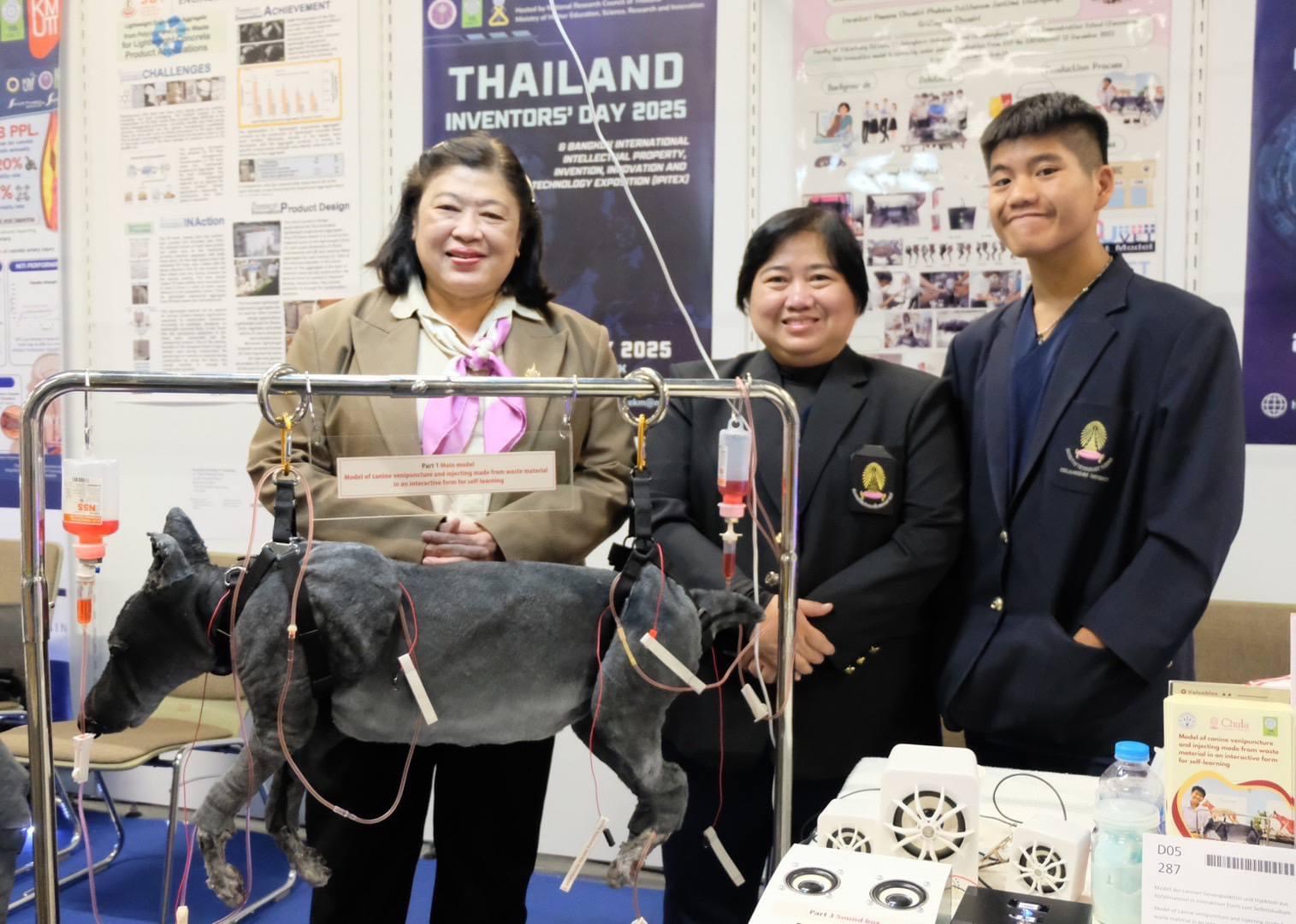 Chula’s Eco-Friendly Canine Blood Draw Training Model Wins Gold ...