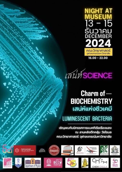 Join Us for the Night Museum at Chula on December 13-15, 2024 – Chulalongkorn University