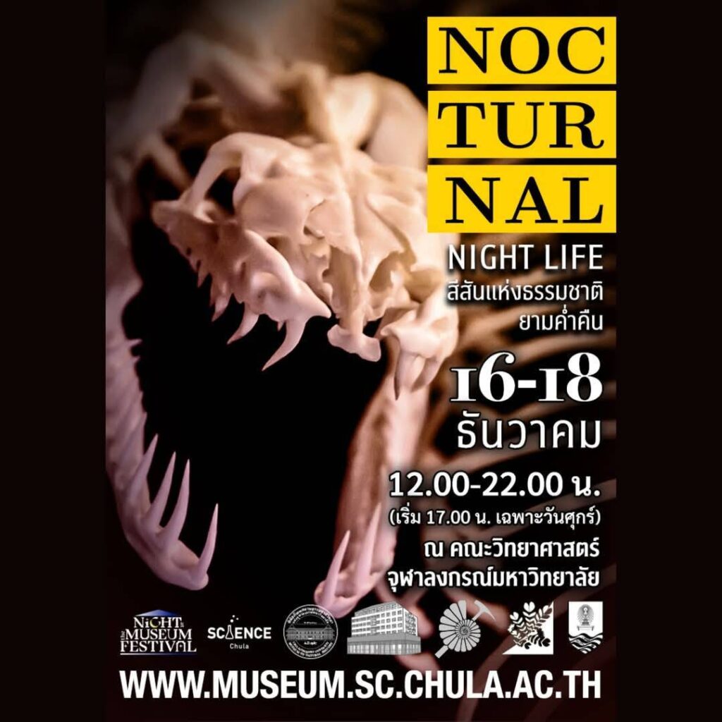Chula's "Museum at Night," Winner of an Asian Award – Chulalongkorn University
