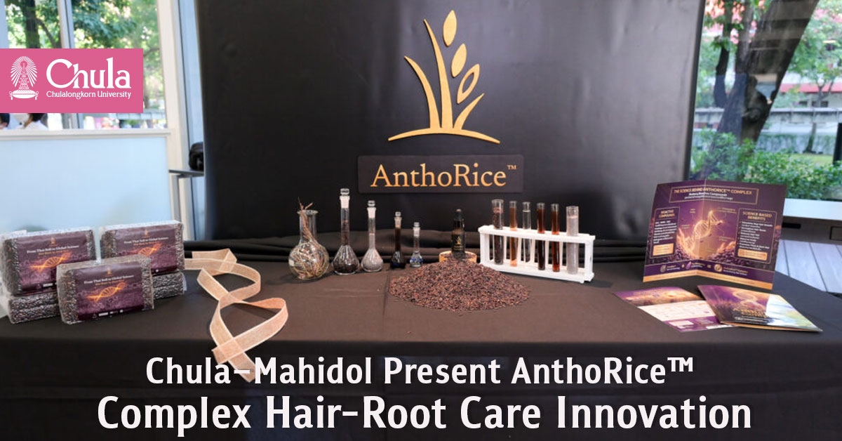 AnthoRice Thailand : Hair Wellness from Thai Research – Chulalongkorn University